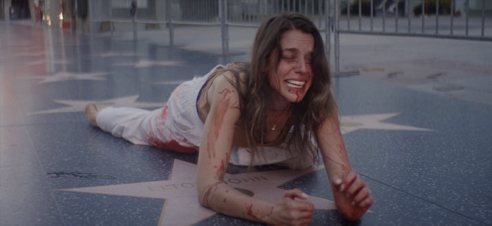 Do-Not-Disturb - Daily Dead