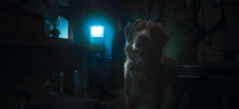 Horror Highlights: GOOD BOY, BETTER LUCK THAN CHUCK, DEVILWORKS ...